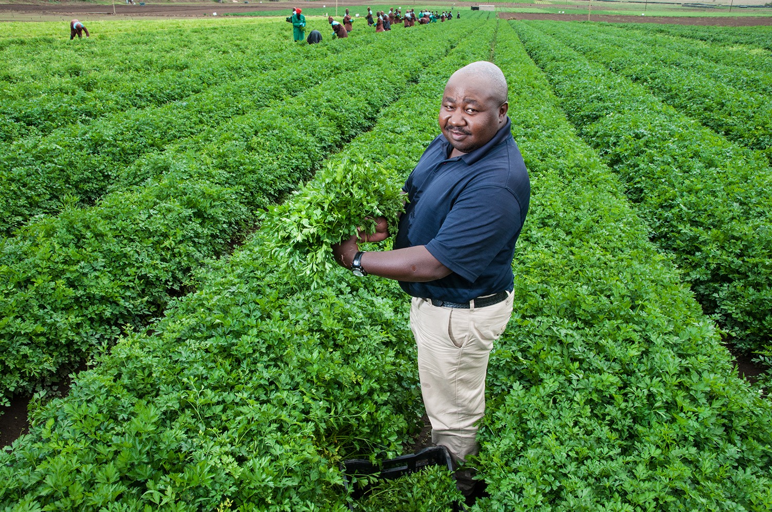 Sanergy : toilets in Nairobi’s slums - Choose Africa